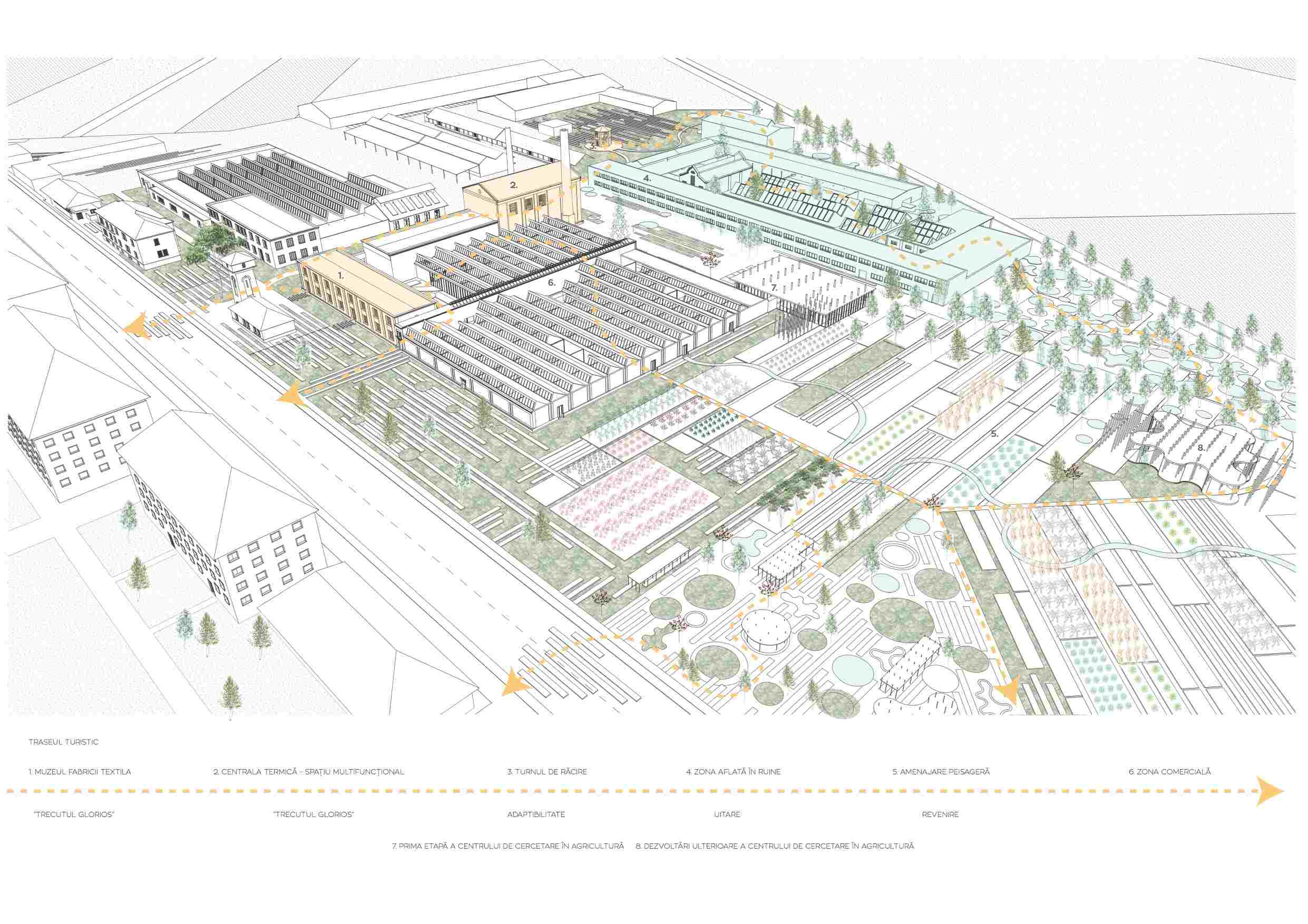Regenerarea Fabricii Textila, Lugoj | Diploma