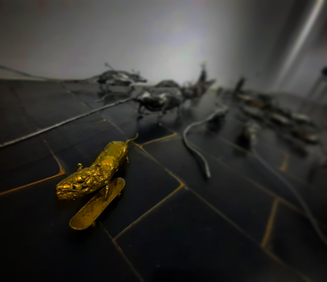 Rat''AT''At | Diploma