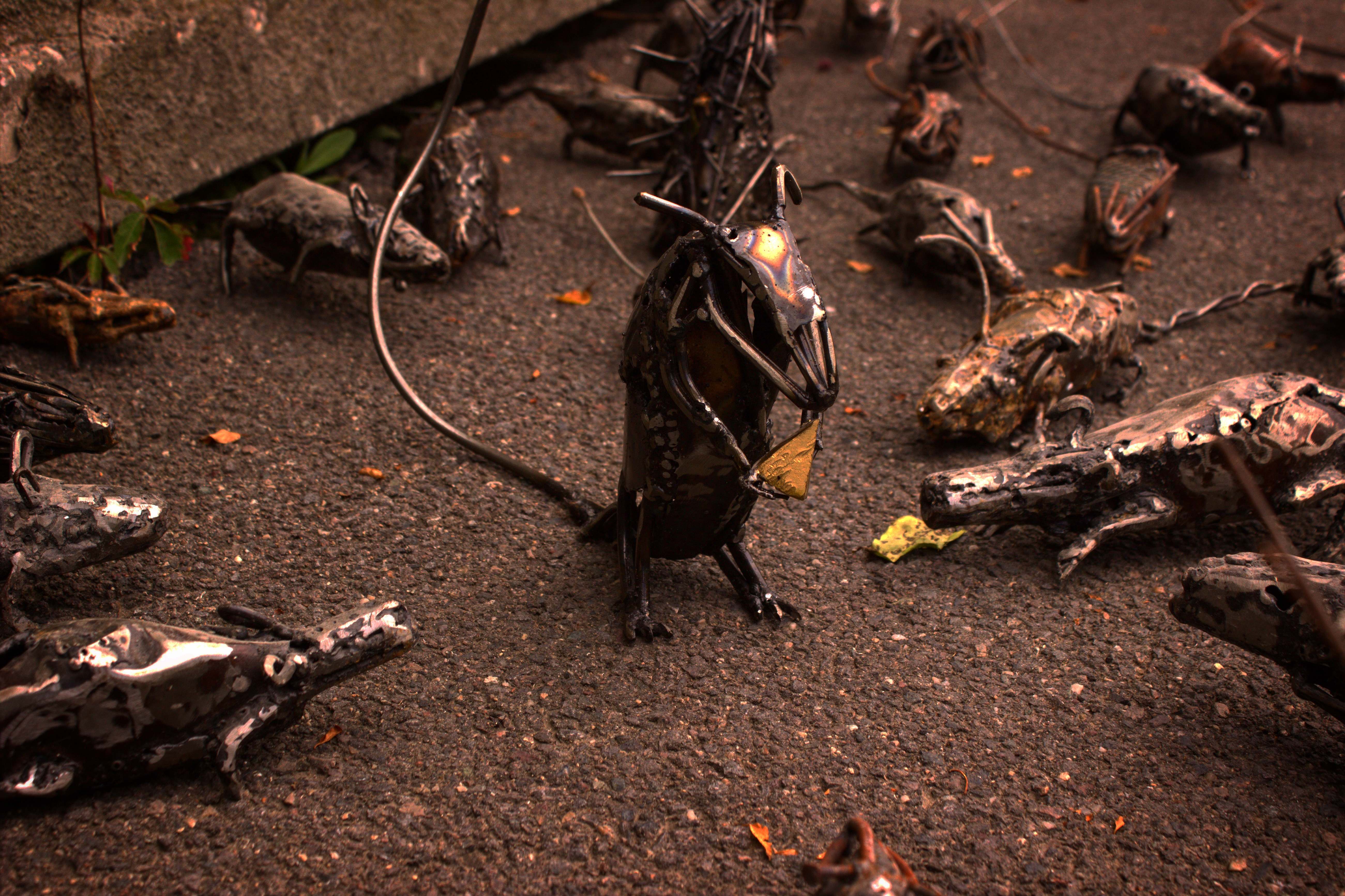 Rat''AT''At | Diploma